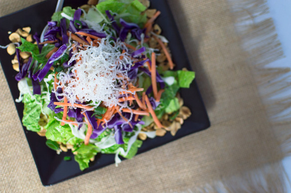 Crunchy Asian Salad - That Square Plate